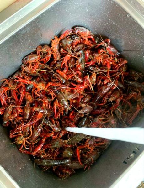 蒜香小龙虾怎么做_蒜香小龙虾最正宗的做法-第2张图片-山城妙识 蒜香小龙虾怎么做_蒜香小龙虾最正宗的做法-第2张图片-山城妙识