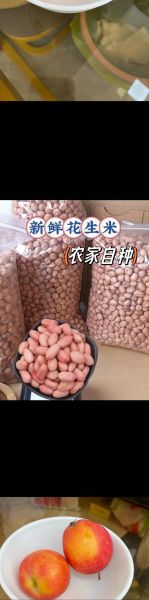 一天吃几粒生花生米最好_生花生米一天吃多少粒合适-第2张图片-山城妙识 一天吃几粒生花生米最好_生花生米一天吃多少粒合适-第2张图片-山城妙识