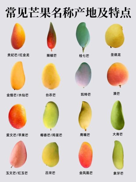 水果种类图片大全_常见水果名称对照表-第3张图片-山城妙识 水果种类图片大全_常见水果名称对照表-第3张图片-山城妙识