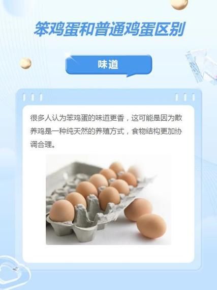 笨鸡蛋和普通鸡蛋有什么区别_营养价值谁更高-第2张图片-山城妙识 笨鸡蛋和普通鸡蛋有什么区别_营养价值谁更高-第2张图片-山城妙识