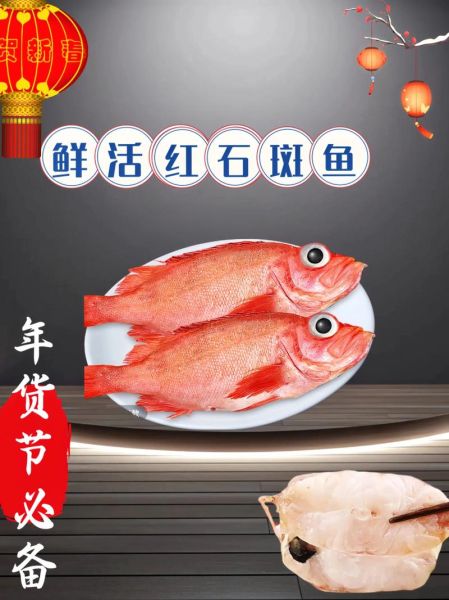 野生红石斑鱼多少钱一斤_野生红石斑鱼价格行情-第2张图片-山城妙识 野生红石斑鱼多少钱一斤_野生红石斑鱼价格行情-第2张图片-山城妙识