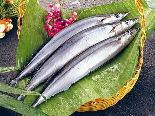 黄河刀鱼多少钱一斤_黄河刀鱼为什么贵-第2张图片-山城妙识 黄河刀鱼多少钱一斤_黄河刀鱼为什么贵-第2张图片-山城妙识