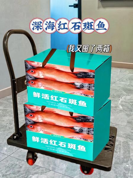 野生红石斑鱼多少钱一斤_野生红石斑鱼价格行情-第3张图片-山城妙识 野生红石斑鱼多少钱一斤_野生红石斑鱼价格行情-第3张图片-山城妙识