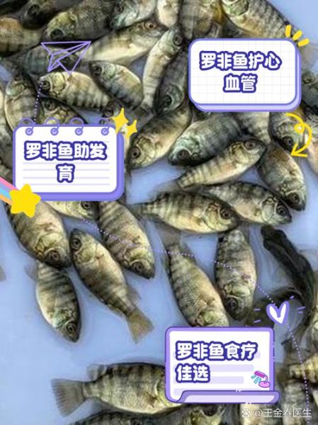 罗非鱼为什么没人吃_罗非鱼到底能不能吃-第1张图片-山城妙识 罗非鱼为什么没人吃_罗非鱼到底能不能吃-第1张图片-山城妙识