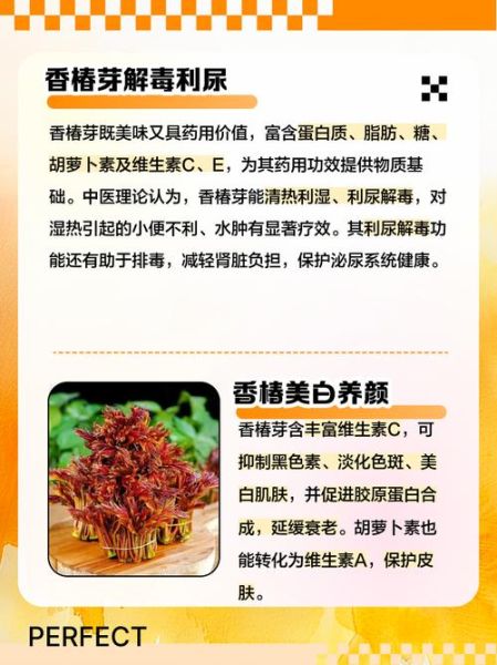 香椿芽的营养价值_香椿芽怎么吃最营养-第1张图片-山城妙识