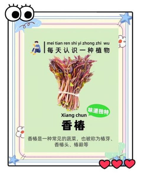 香椿芽的营养价值_香椿芽怎么吃最营养-第2张图片-山城妙识