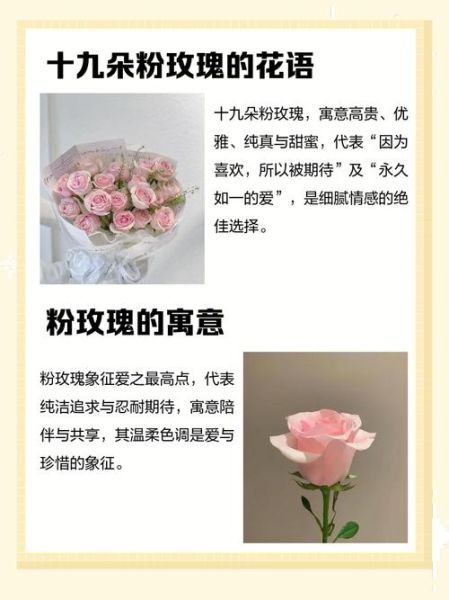 粉玫瑰花语是什么_粉玫瑰送几朵合适-第2张图片-山城妙识
