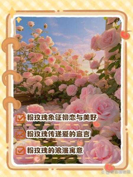 粉玫瑰花语是什么_粉玫瑰送几朵合适-第3张图片-山城妙识