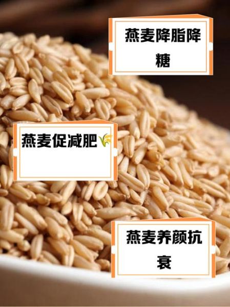 燕麦的功效与作用及禁忌是什么_哪些人不能吃-第1张图片-山城妙识
