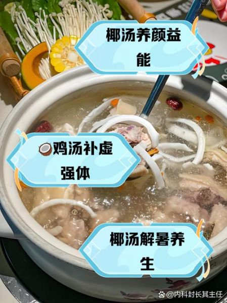 椰子肉炖鸡汤的功效_椰子鸡汤适合什么人喝-第1张图片-山城妙识