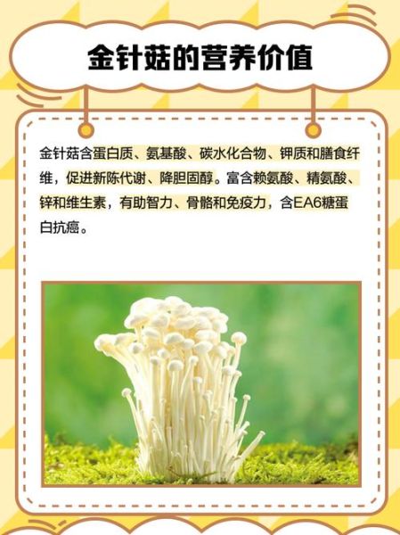 金针菇栽培技术要点_金针菇怎么种-第1张图片-山城妙识