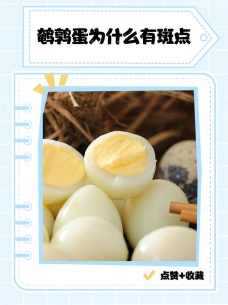 小女孩为什么不能吃鹌鹑蛋_鹌鹑蛋过敏症状有哪些-第3张图片-山城妙识