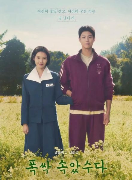 请回答1998剧情介绍_请回答1998结局是什么-第1张图片-山城妙识 请回答1998剧情介绍_请回答1998结局是什么-第1张图片-山城妙识