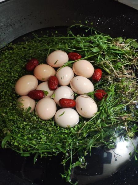 荠菜煮鸡蛋什么时候吃最好_荠菜煮鸡蛋的功效与禁忌-第1张图片-山城妙识 荠菜煮鸡蛋什么时候吃最好_荠菜煮鸡蛋的功效与禁忌-第1张图片-山城妙识