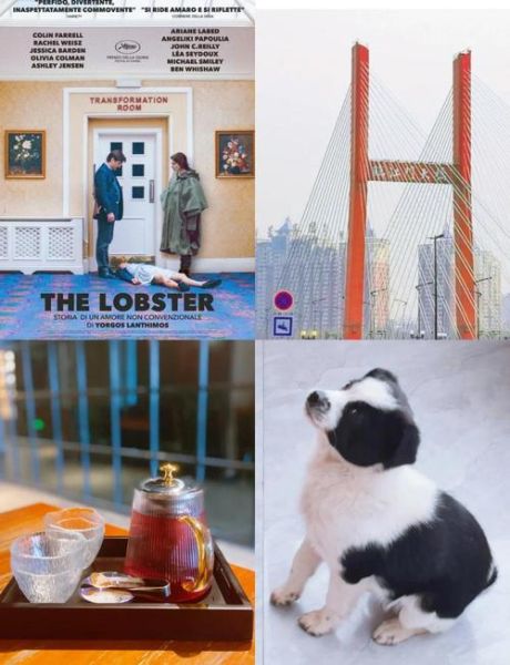 龙虾电影在线观看_哪里能看高清完整版-第1张图片-山城妙识 龙虾电影在线观看_哪里能看高清完整版-第1张图片-山城妙识