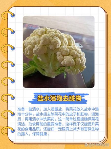 花菜怎么洗_花菜清洗的正确方法-第1张图片-山城妙识 花菜怎么洗_花菜清洗的正确方法-第1张图片-山城妙识