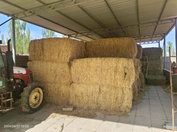 苜蓿草价格多少钱一吨_苜蓿草价格为什么波动大-第1张图片-山城妙识 苜蓿草价格多少钱一吨_苜蓿草价格为什么波动大-第1张图片-山城妙识