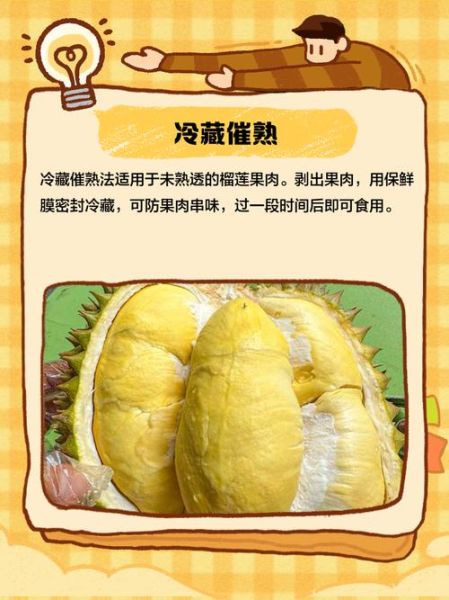 榴莲肉硬怎么办_如何变软-第3张图片-山城妙识 榴莲肉硬怎么办_如何变软-第3张图片-山城妙识