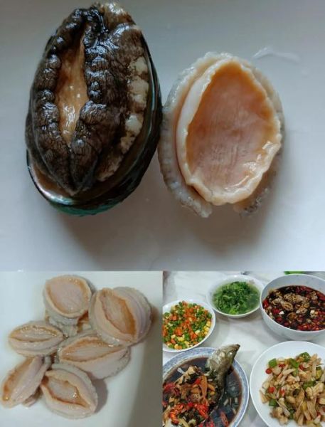 鲍鱼怎么清洗_鲍鱼清洗步骤图解-第1张图片-山城妙识