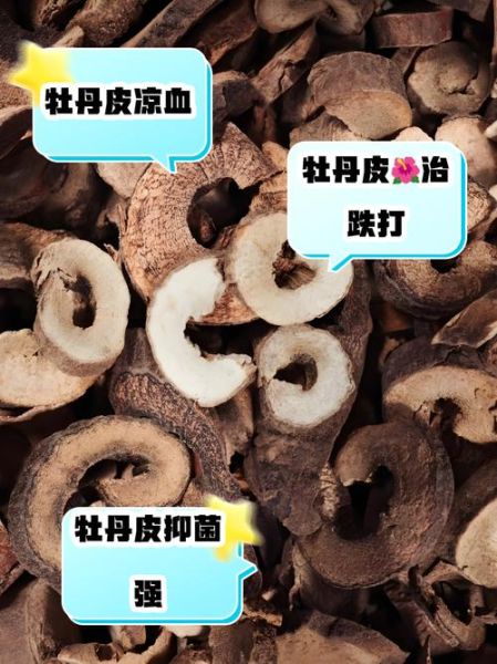 牡丹皮的功效与作用_牡丹皮能降血糖吗-第1张图片-山城妙识