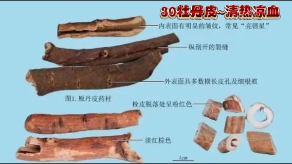 牡丹皮的功效与作用_牡丹皮能降血糖吗-第3张图片-山城妙识