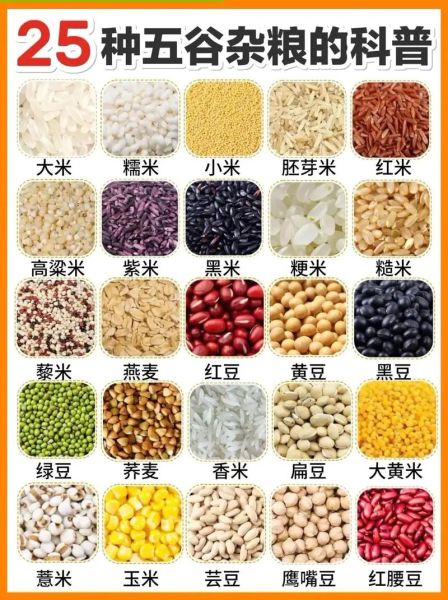 五谷指的是哪五谷_五谷具体包括哪些粮食-第1张图片-山城妙识