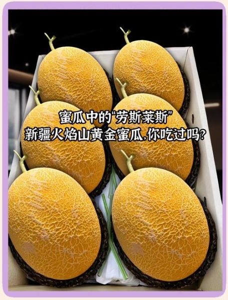 黄金瓜热量是多少_减肥能吃黄金瓜吗-第1张图片-山城妙识