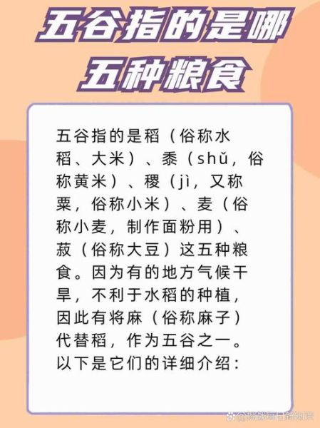 五谷指的是哪五谷_五谷具体包括哪些粮食-第2张图片-山城妙识