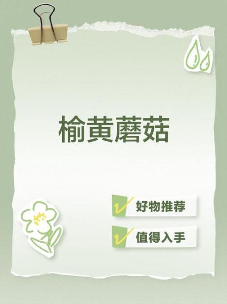 榆黄蘑高效栽培技术_如何提升产量与品质-第3张图片-山城妙识 榆黄蘑高效栽培技术_如何提升产量与品质-第3张图片-山城妙识