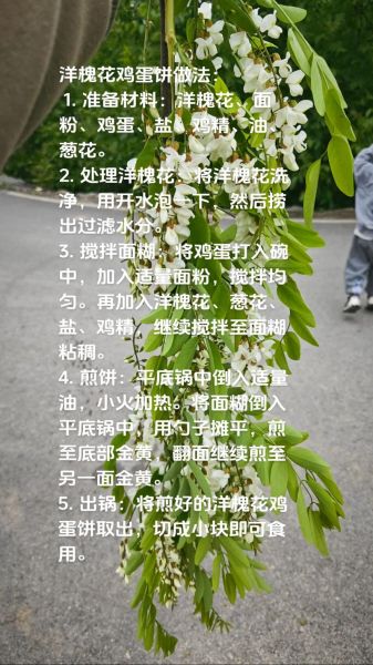洋槐花的功效与作用_洋槐花怎么吃最养生-第1张图片-山城妙识 洋槐花的功效与作用_洋槐花怎么吃最养生-第1张图片-山城妙识