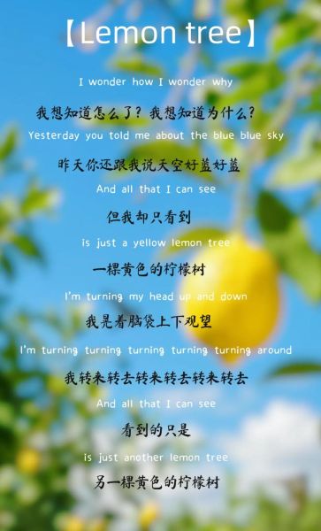 柠檬树歌词含义是什么_柠檬树表达了什么情感-第1张图片-山城妙识 柠檬树歌词含义是什么_柠檬树表达了什么情感-第1张图片-山城妙识