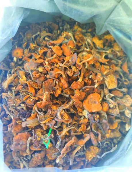 干榛蘑的营养价值_干榛蘑的功效与作用-第2张图片-山城妙识