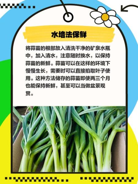 蒜苗怎么保存_蒜苗怎么处理-第2张图片-山城妙识