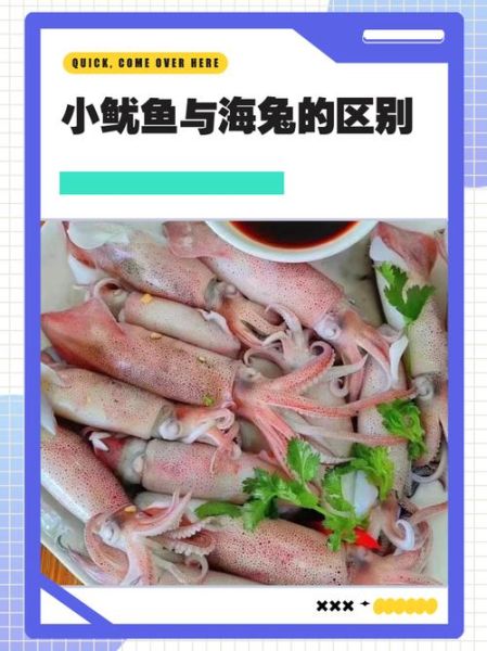海兔子和鱿鱼的区别_哪个更好吃-第1张图片-山城妙识