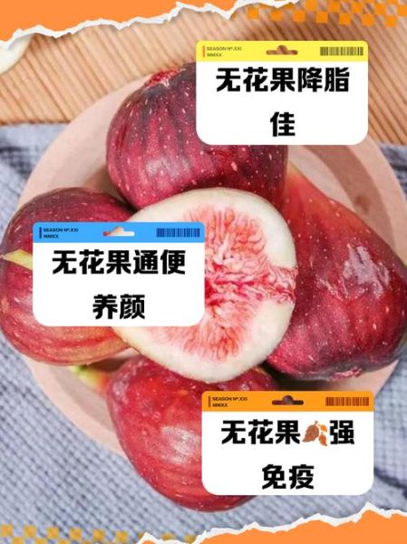 无花果有什么营养价值_无花果热量高吗-第1张图片-山城妙识