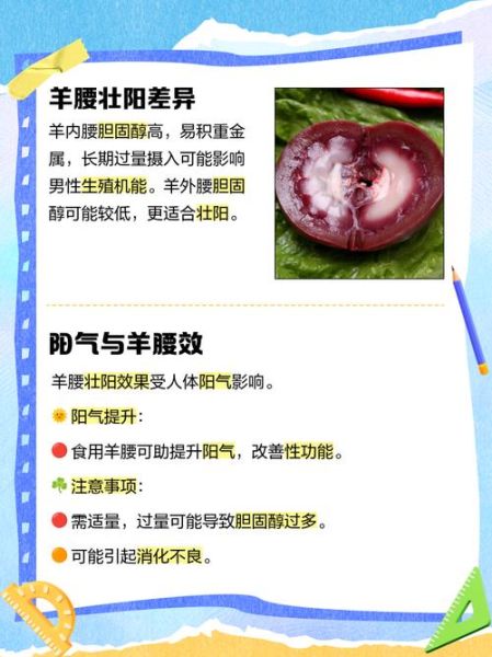 羊肾的功效与作用_羊肾怎么吃最补肾-第3张图片-山城妙识