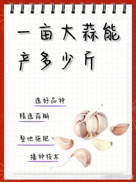 2021年大蒜预计多少钱一斤_大蒜价格走势分析-第3张图片-山城妙识