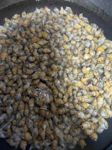 盐腌海瓜子怎么保存_盐腌海瓜子做法步骤-第3张图片-山城妙识