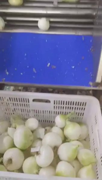 豆芽机怎么使用_家用豆芽机使用步骤-第3张图片-山城妙识