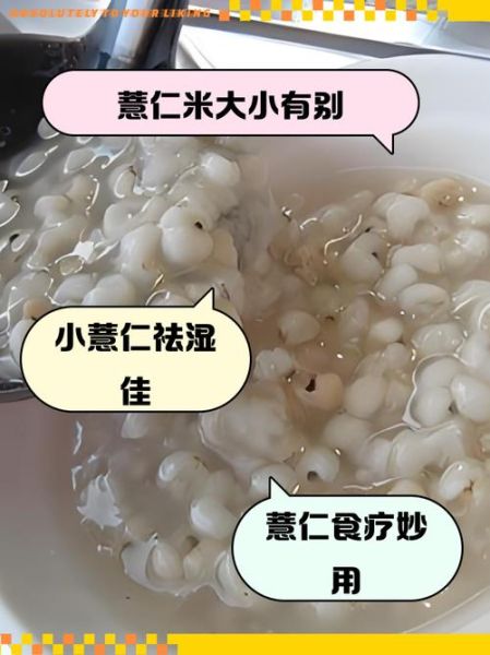 大薏仁米和小薏仁米的区别_功效对比哪个好-第1张图片-山城妙识 大薏仁米和小薏仁米的区别_功效对比哪个好-第1张图片-山城妙识
