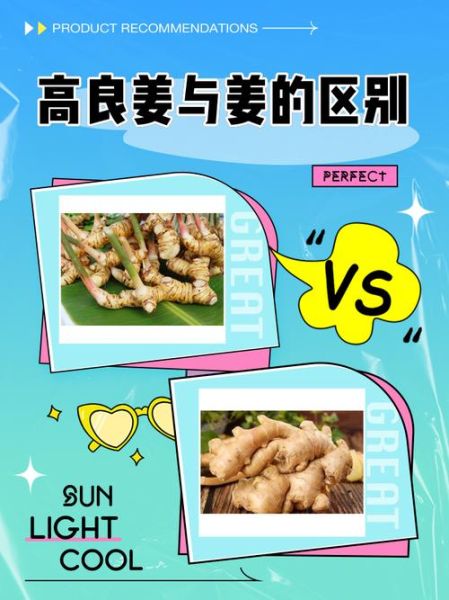 良姜调料长什么样_良姜和高良姜区别-第1张图片-山城妙识 良姜调料长什么样_良姜和高良姜区别-第1张图片-山城妙识