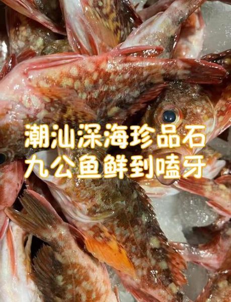 石九公多少钱一斤_石九公价格行情-第2张图片-山城妙识 石九公多少钱一斤_石九公价格行情-第2张图片-山城妙识