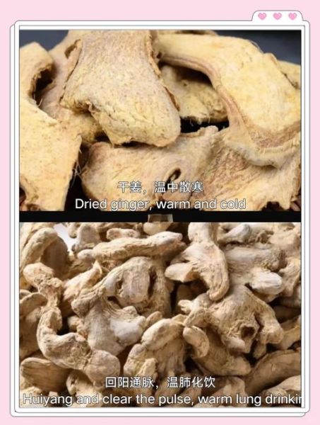 良姜调料长什么样_良姜和高良姜区别-第3张图片-山城妙识 良姜调料长什么样_良姜和高良姜区别-第3张图片-山城妙识