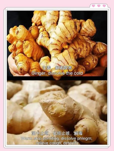 良姜调料长什么样_良姜和高良姜区别-第2张图片-山城妙识 良姜调料长什么样_良姜和高良姜区别-第2张图片-山城妙识