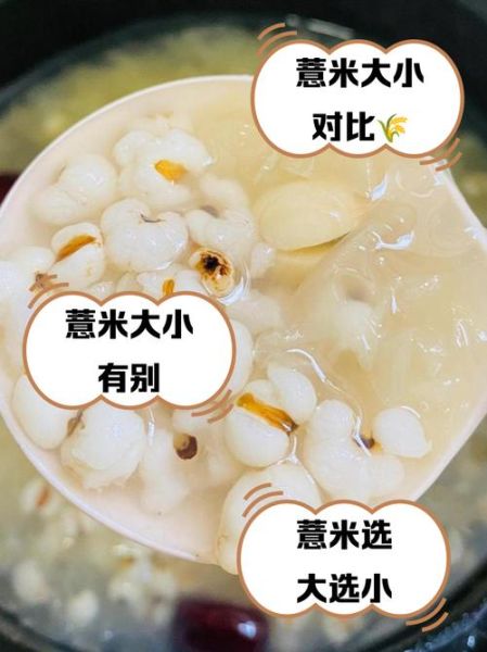 大薏仁米和小薏仁米的区别_功效对比哪个好-第3张图片-山城妙识 大薏仁米和小薏仁米的区别_功效对比哪个好-第3张图片-山城妙识
