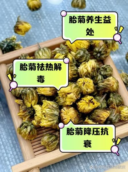 胎菊的功效与作用有哪些_胎菊的副作用是什么-第3张图片-山城妙识
