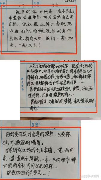 小学生作文评语怎么写_家长如何辅导孩子写作-第1张图片-山城妙识