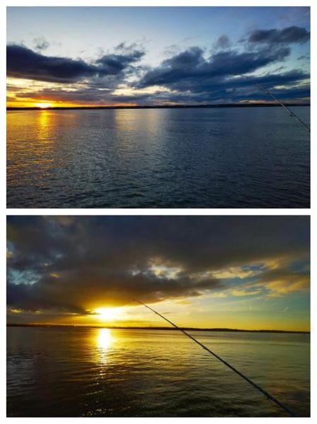 银鳕鱼用什么饵料钓_银鳕鱼钓法技巧-第3张图片-山城妙识 银鳕鱼用什么饵料钓_银鳕鱼钓法技巧-第3张图片-山城妙识