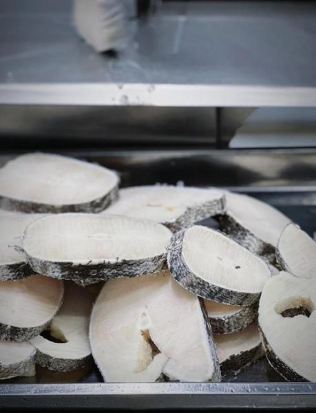 银鳕鱼用什么饵料钓_银鳕鱼钓法技巧-第1张图片-山城妙识 银鳕鱼用什么饵料钓_银鳕鱼钓法技巧-第1张图片-山城妙识