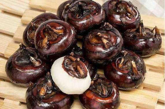 马蹄是什么币_马蹄币怎么买-第3张图片-山城妙识